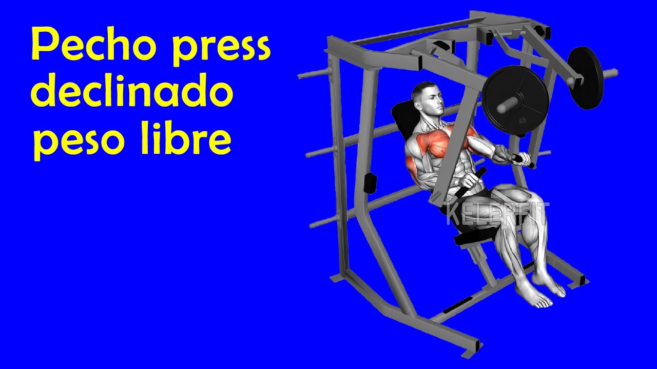 Ejercita el pecho con la rutina pecho press declinado peso libre - YouTube