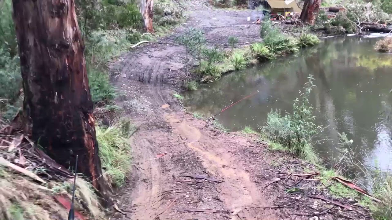 OLD - Anderson Campground - Toombon Goldmine Reserve - Thomson SF - VIC ...