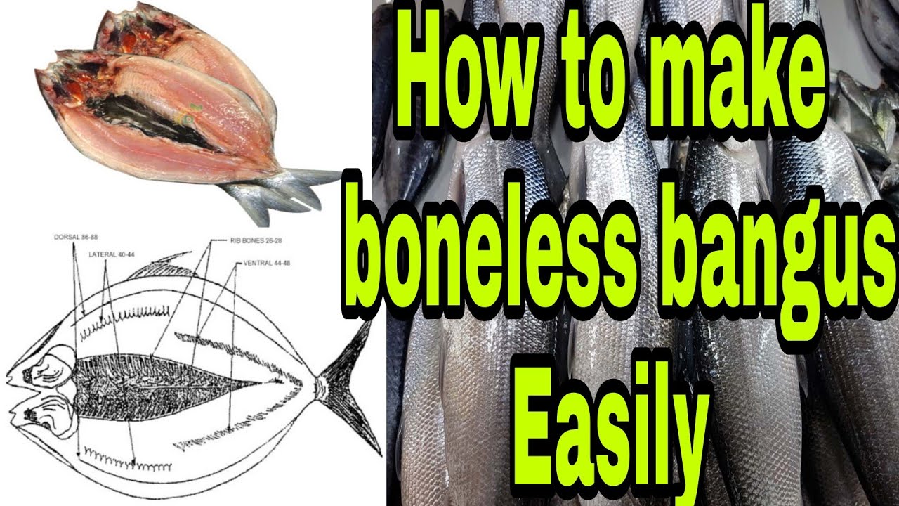 How to debone bangus? (Milk fish)tagalog tutotial step by step. - YouTube
