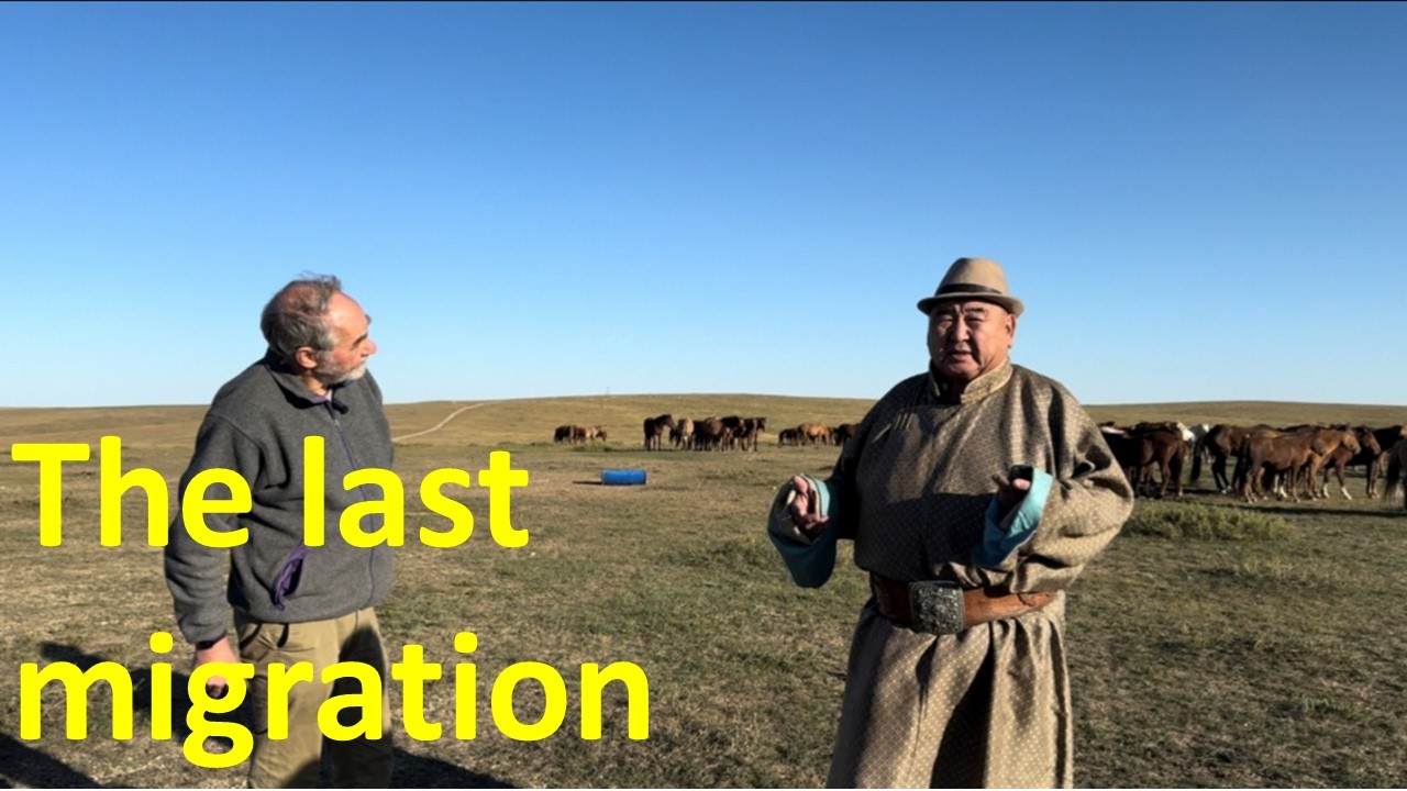 Migration and transhumance: movement across landscapes - YouTube