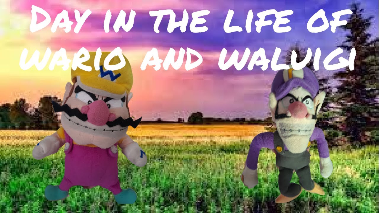 Day in the life of Wario and Waluigi - YouTube