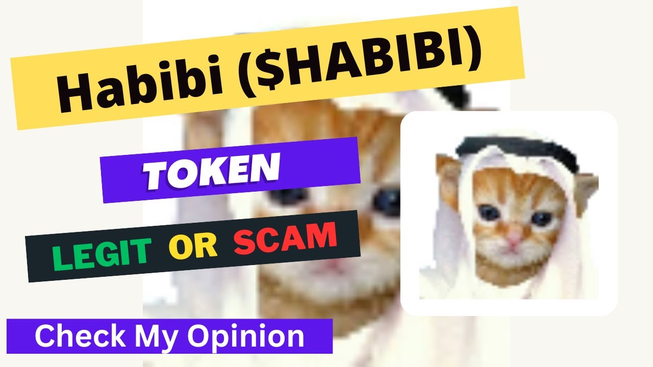 Habibi (HABIBI) Token is a Legit or Scam | Is HABIBI token Legit or ...