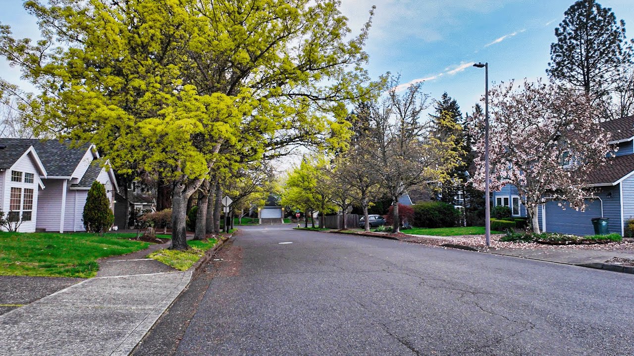 Beautiful Day in the Neighborhood | Spring Sunrise Walk (Relaxing Bird ...