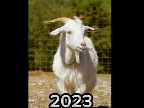 2023_GOAT_vs_5000_bce_GOAT%F0%9F%A6%deo_%23anime#short#youtubeshort ...