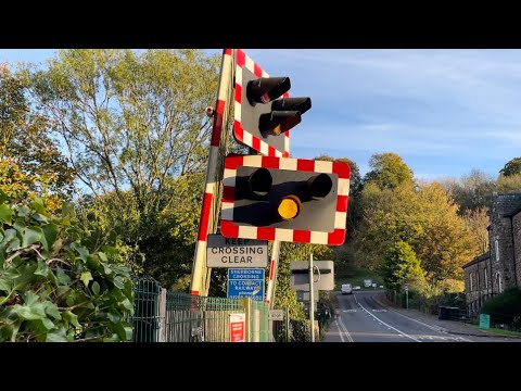 Halloween Special 🎃 Warbling Alarm & tone at Sherborne level crossing ...