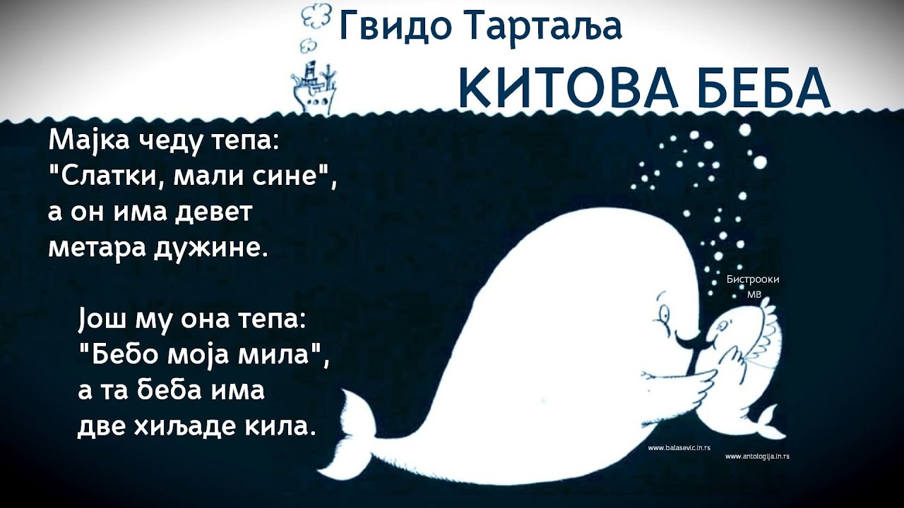 Gvido Tartalja – KITOVA BEBA (Tekst) - YouTube