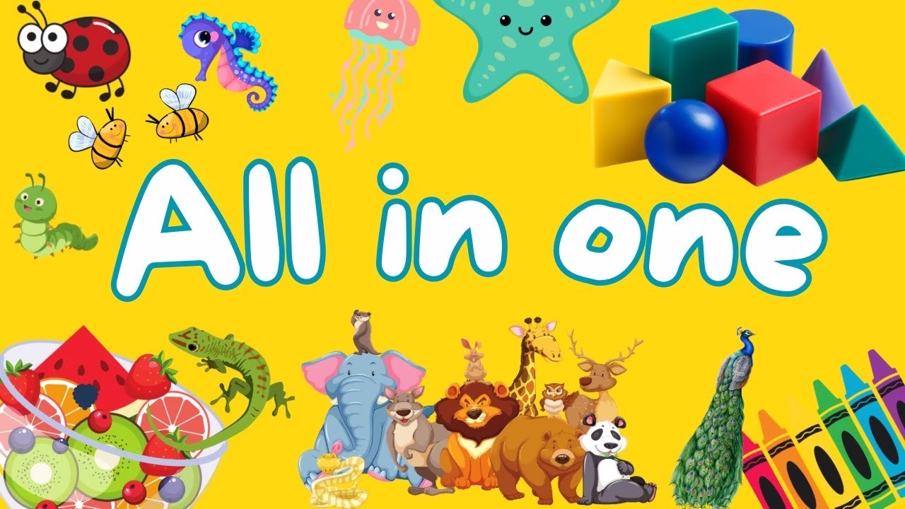 All in one flash cards for kids 😍😱 learn all basic flashcards for kids ...