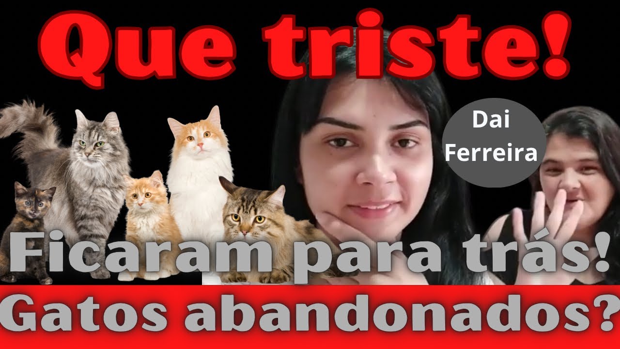 COVARD!@ MAIS ANIMAIS ABABDON@DOS?!! EXPLICA ISSO!!!💣😿🐈 - YouTube