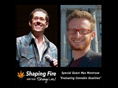 Shaping Fire Episode 17 - Evaluating Cannabis Qualities with guest Max ...