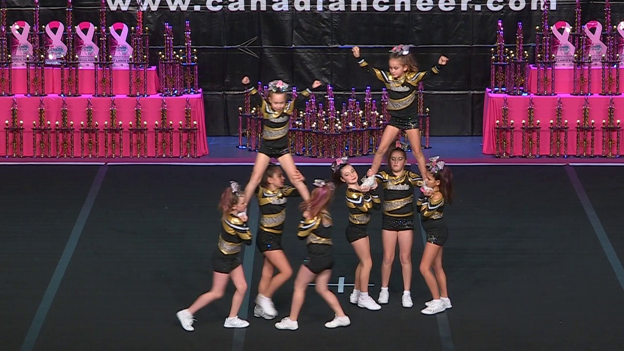 Cheetahs Cheerleading Cerise Small Youth A 1 - YouTube