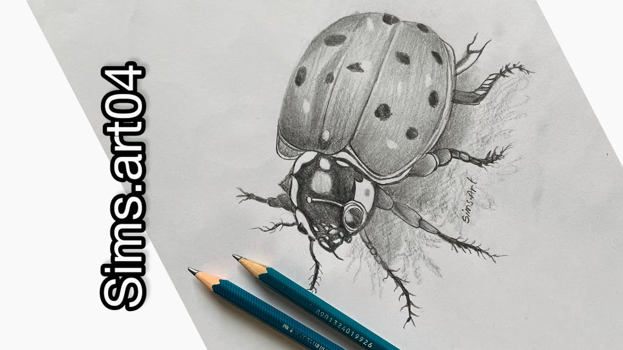 How to draw ladybug step by step || pencil drawing tricks - YouTube