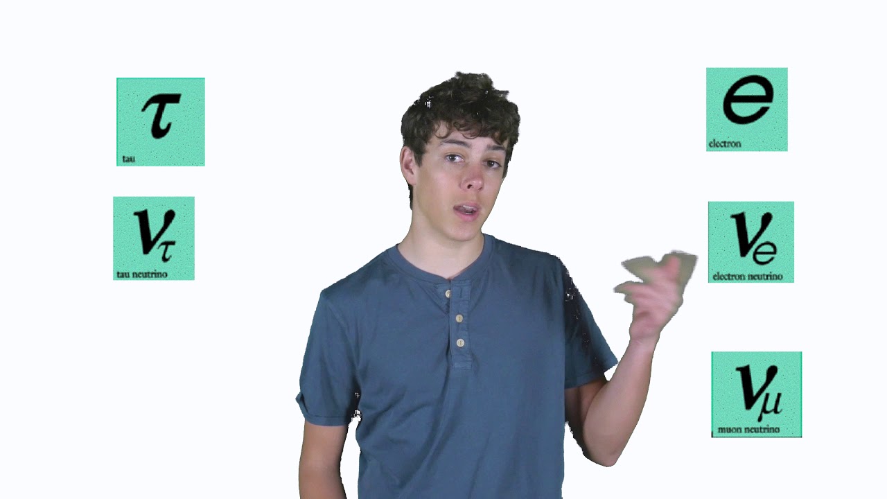 Quarks, Leptons and their Antiparticles - IB Physics - YouTube