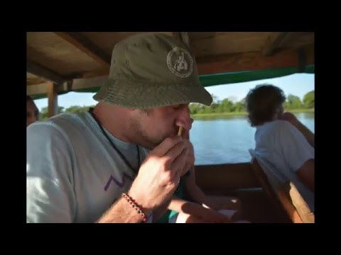 Rapé (Amazonian medicinal snuff)