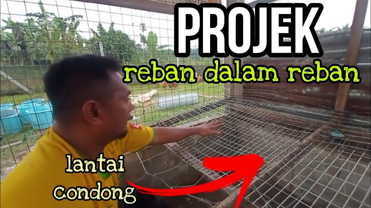 [Episod 910] bapak arab garang punya pasal terpaksa pak long buat reban ...