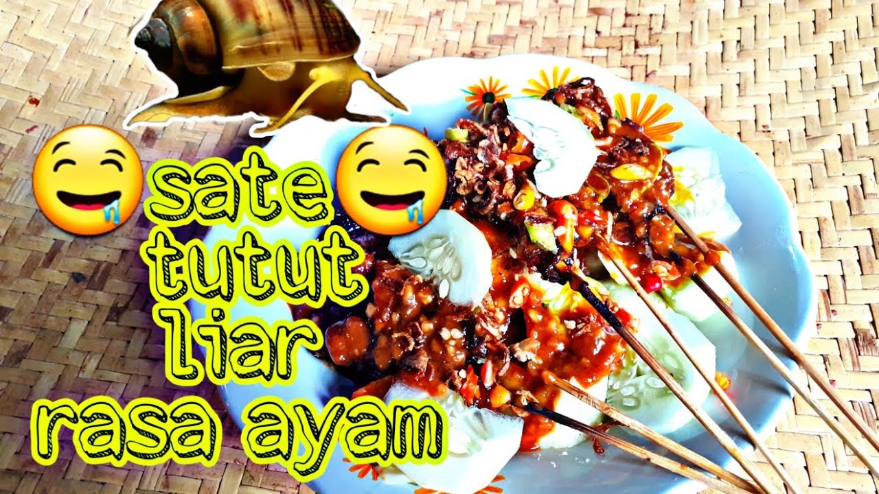 cara mengolah tutut yang benar || nikmat nya sate tutut keong sawah ...
