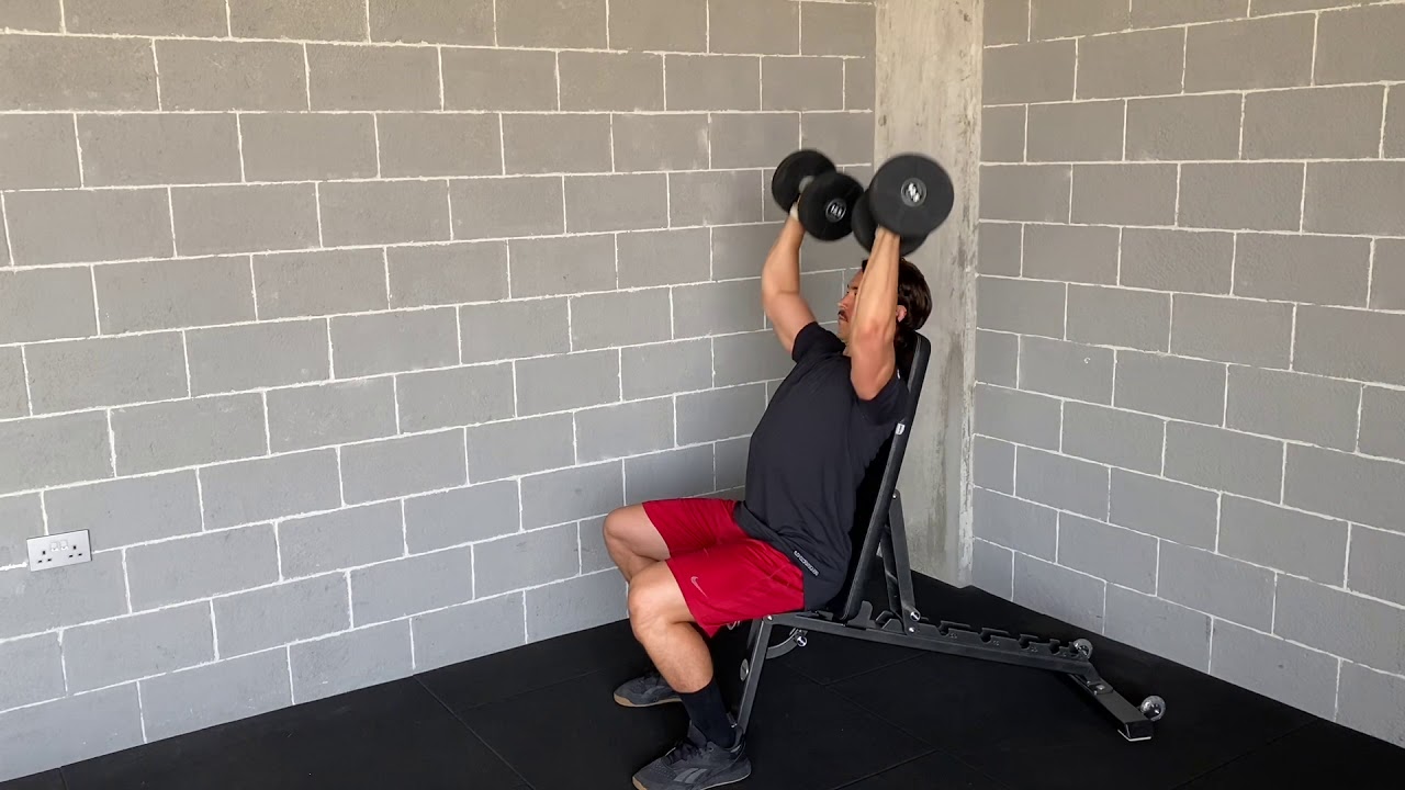 Seated Dumbbell Press - Back Supported - YouTube