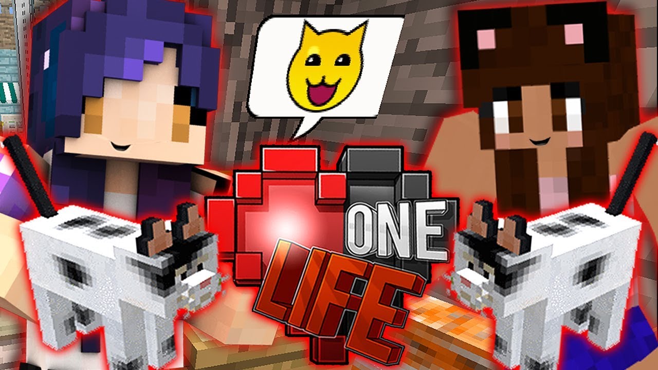 Yammy's Kitty Shop | Ep. 15 | One Life Minecraft SMP - YouTube