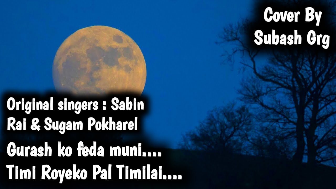 gurasha ko feda muni || timi royeko pal with original track cover by ...