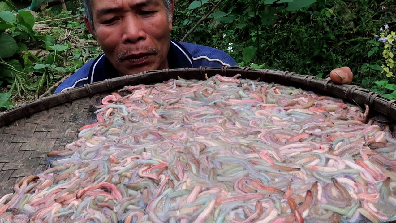 Eating Sea Worms for the First Time – Extreme Food Challenge! - YouTube