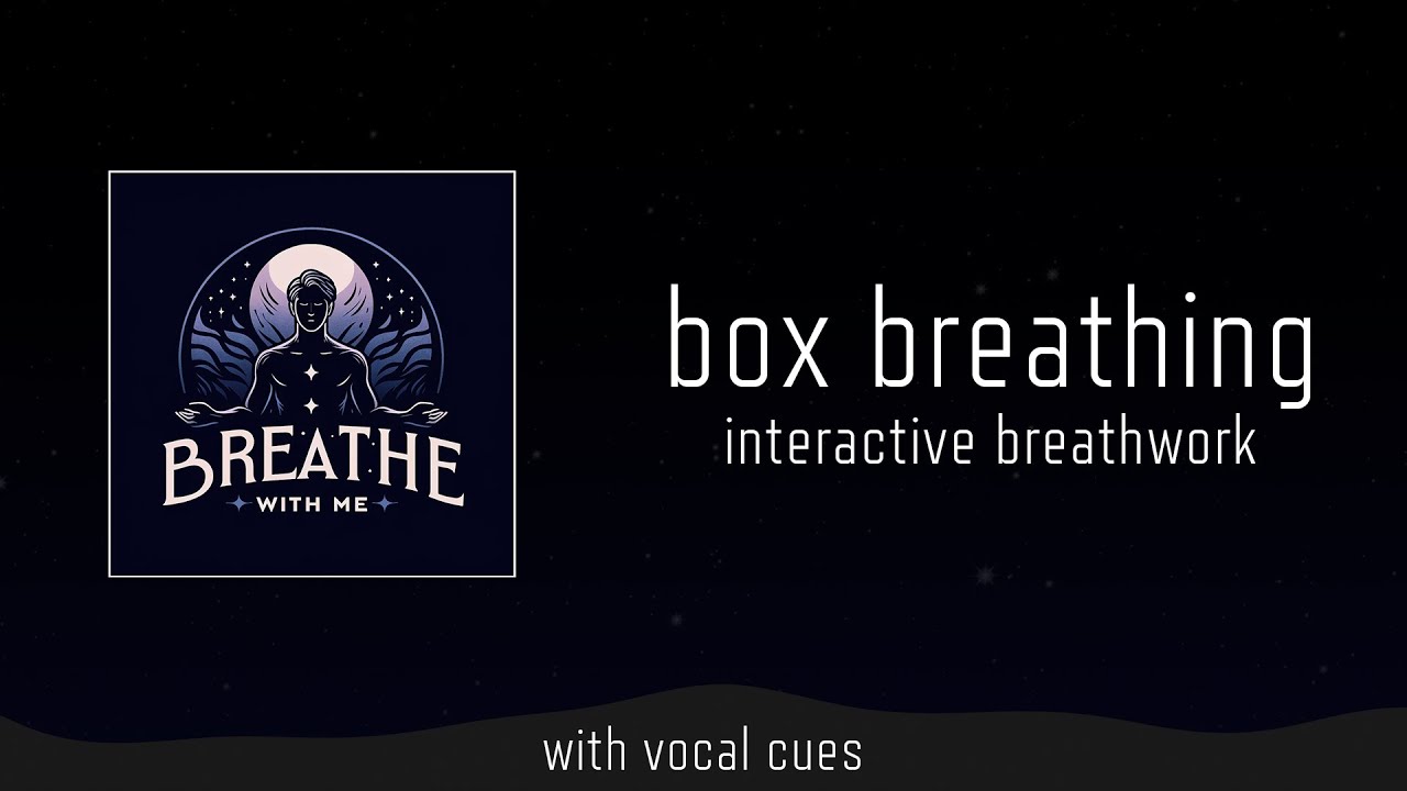 Box Breathing | Interactive Breathwork for Stress Relief and Improved ...