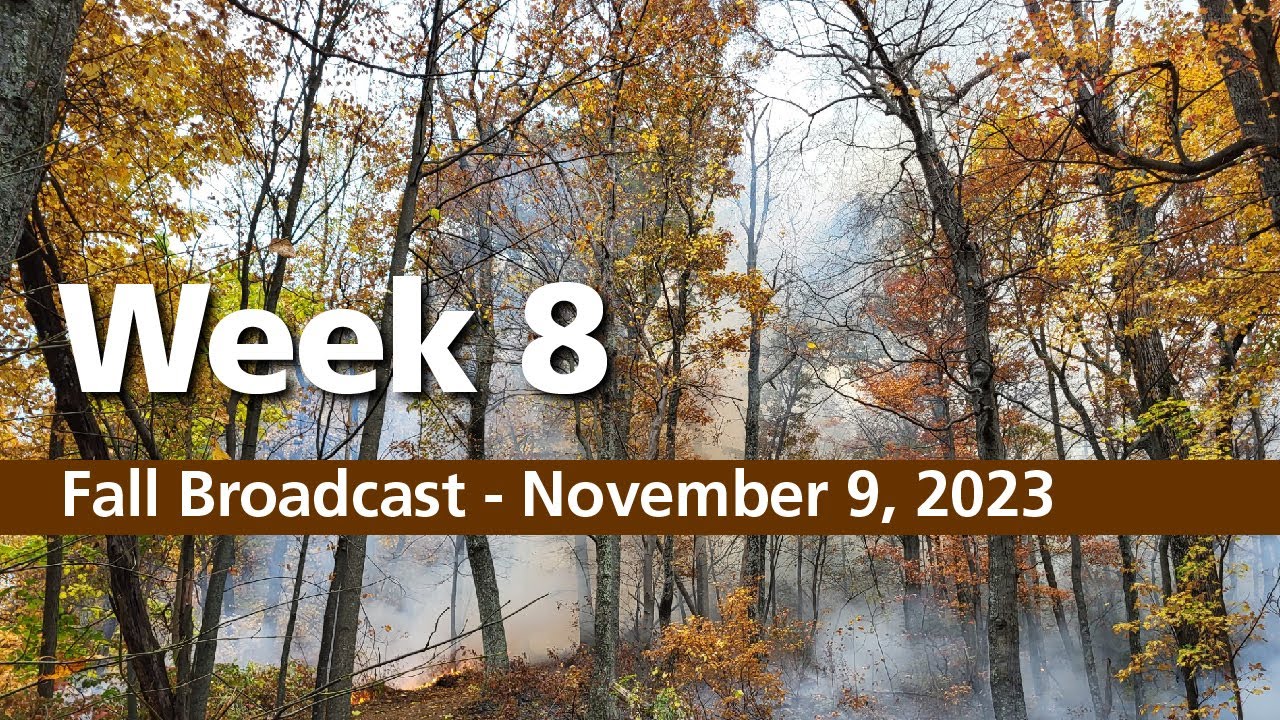 Fall Broadcast - Week 8 - YouTube