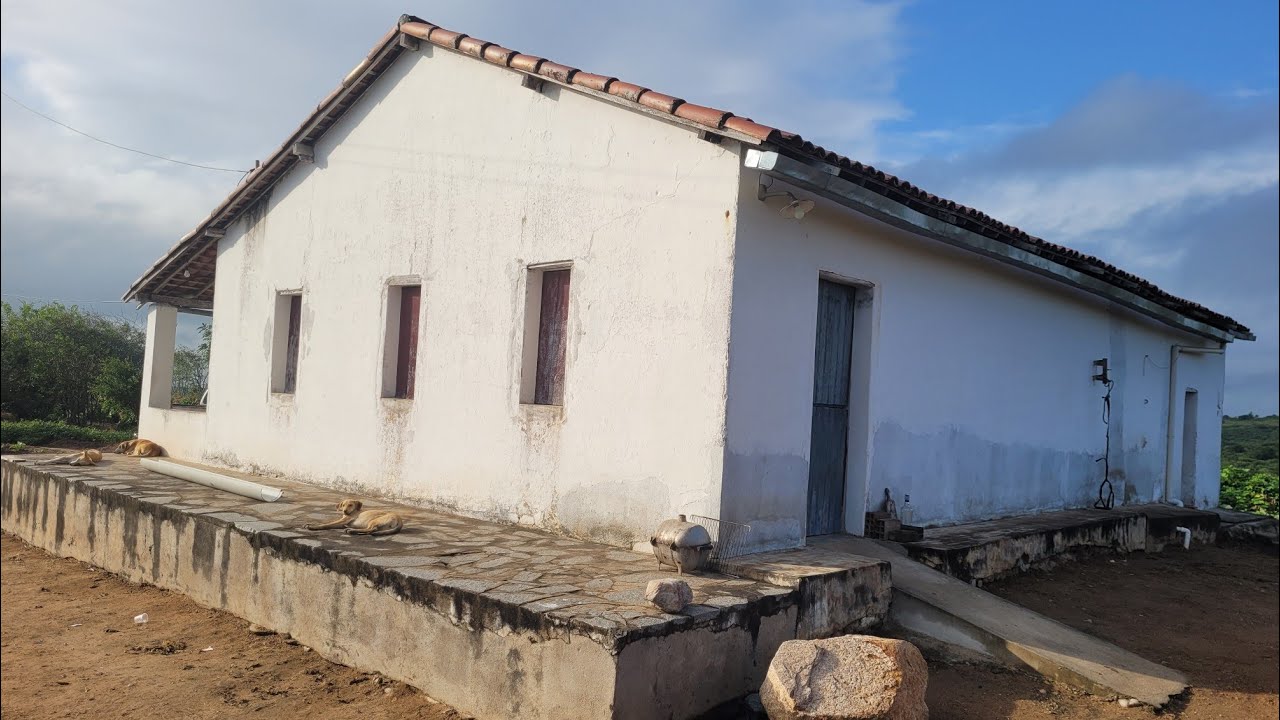 Portal Frank Berto está ao vivo! - YouTube