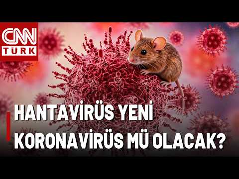 Dünya Bu Virüsü Konuşuyor: Hantavirüs! Küresel Sağlık Kuruluşları Alarma Geçti, Tehdit Büyük Mü?