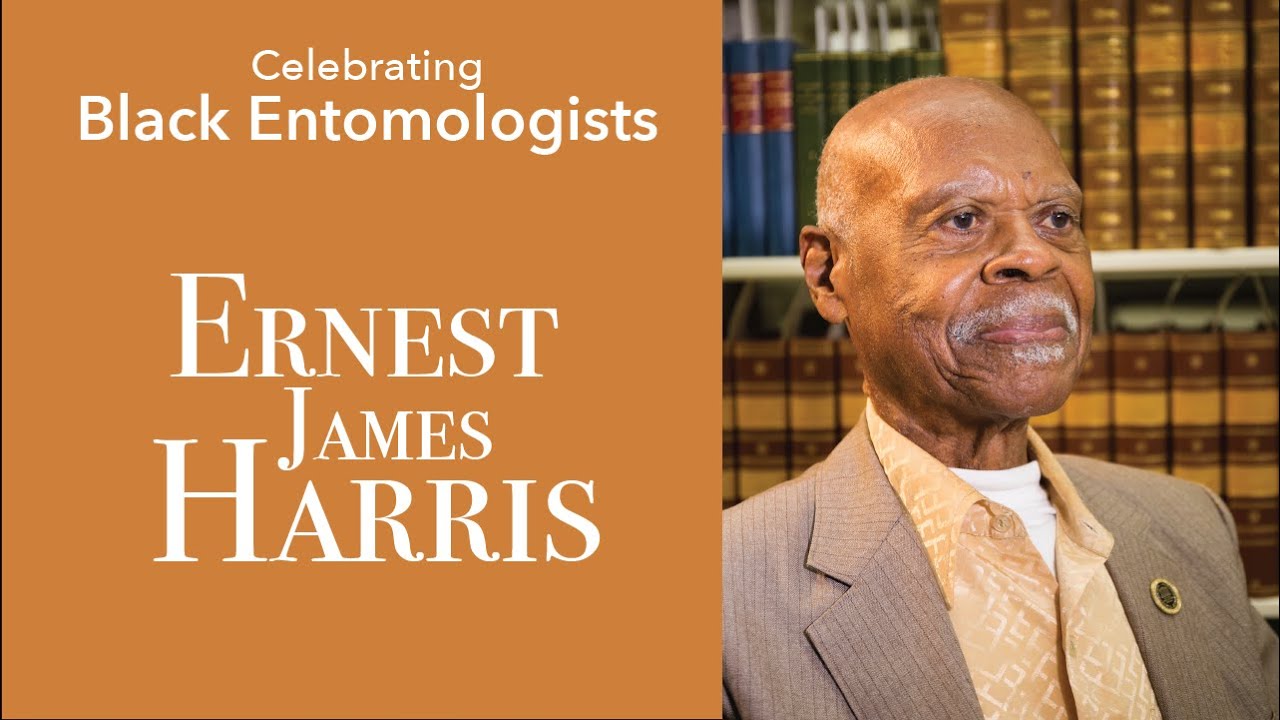 DRAFT Sample: Ernest James Harris - YouTube