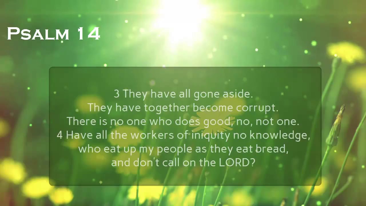 Psalm 14, Psalm 64, & Psalm 114: Reading Through the Psalms day 14 ...