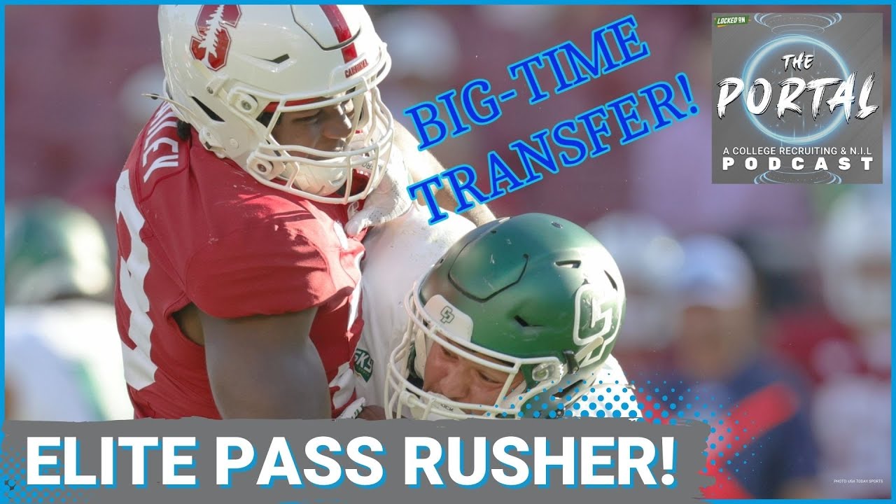 PORTAL MADNESS BEGINS: Stanford DE David Bailey - YouTube