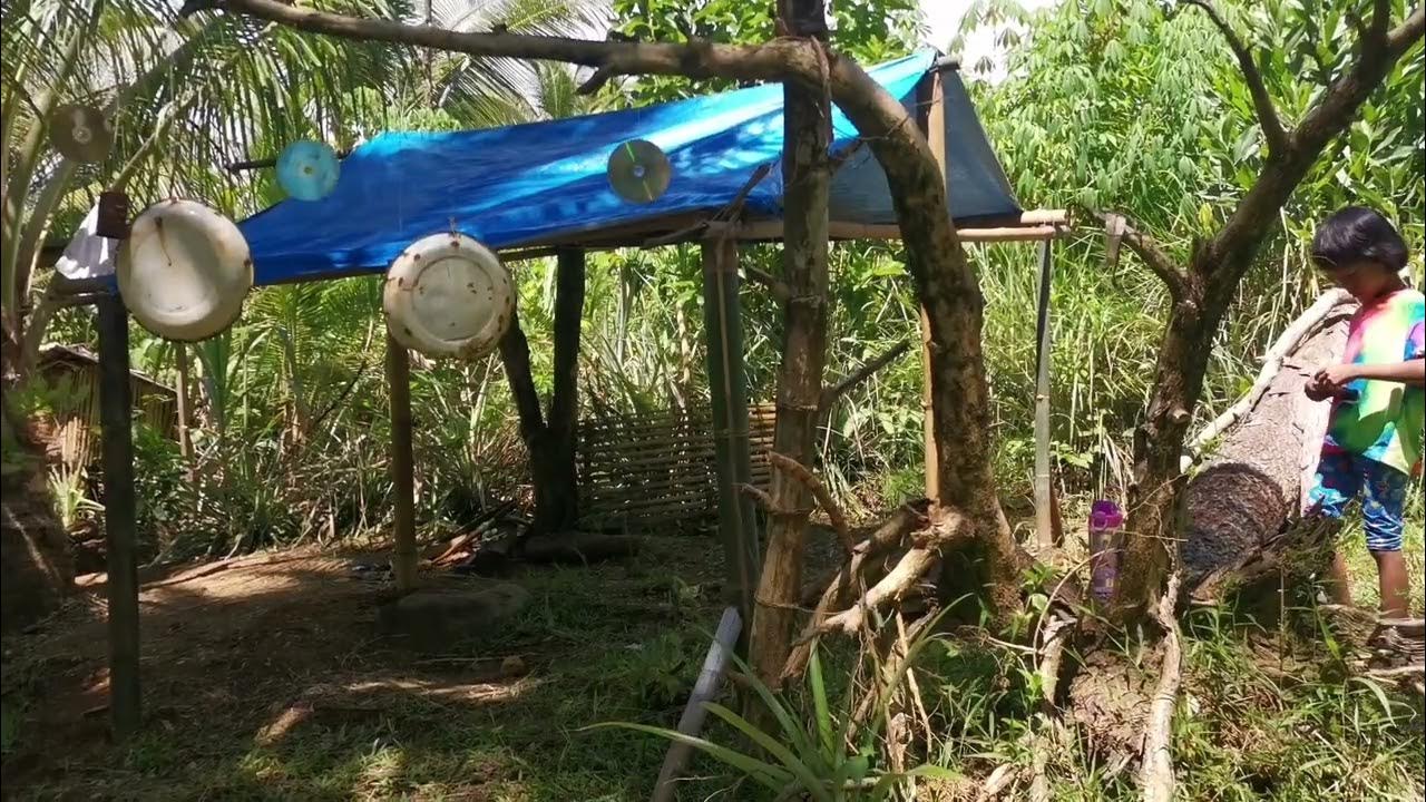 BUHAY PROBINSYA ANG AMING MUNTING SILUNGAN SA BUKID - YouTube
