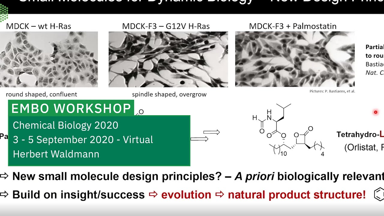 Keynote Lecture: Pseudo Natural Products – Chemical Evolution of ...