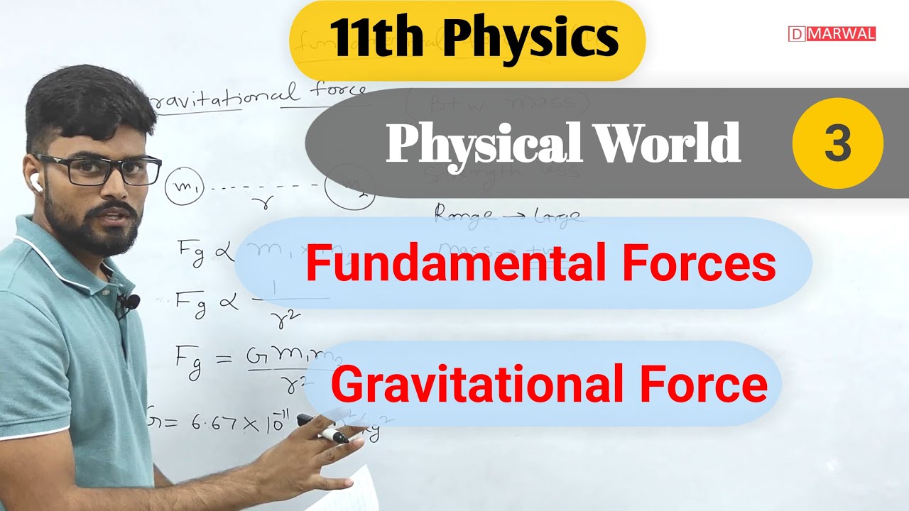 The four Fundamental forces, contact, field force, and gravitational ...