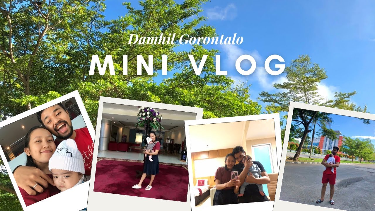 Damhil 🌸🌷🌿 - YouTube