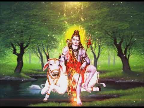 lord shiva background video || lord Shiva green screen || #shiv #shivshankar - YouTube