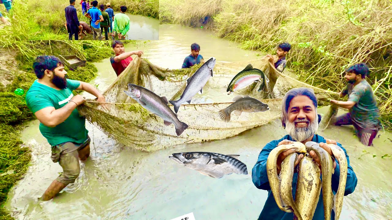 Fish Hunting By Hand , By Net | Fish Hunting At My Village | Fish ...