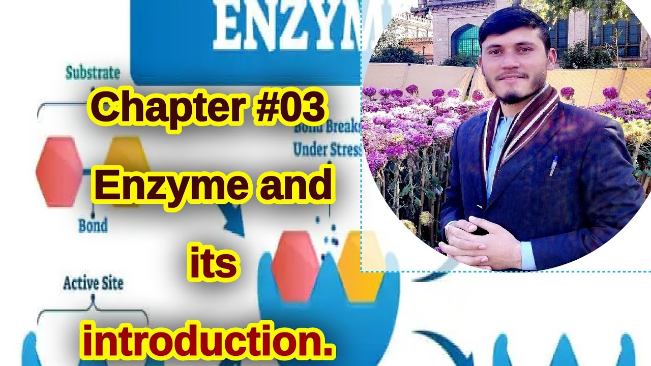 Introduction to Enzyme. Chapter #03.. Define and its discovery. - YouTube