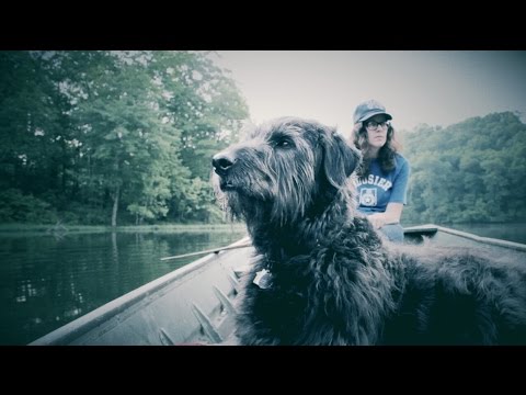 Amy Lashley -Blame The Wind - YouTube