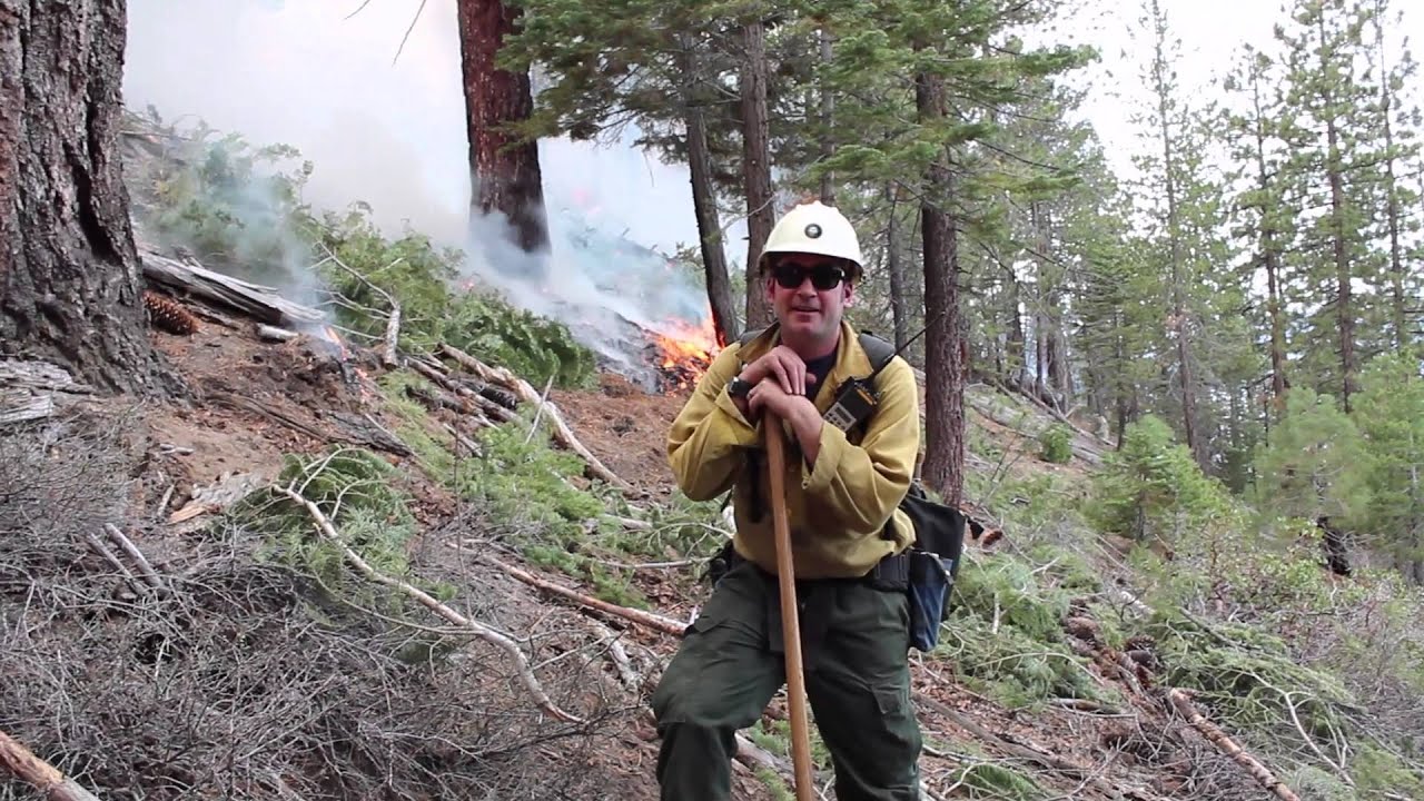 TDFD Park Rx - YouTube