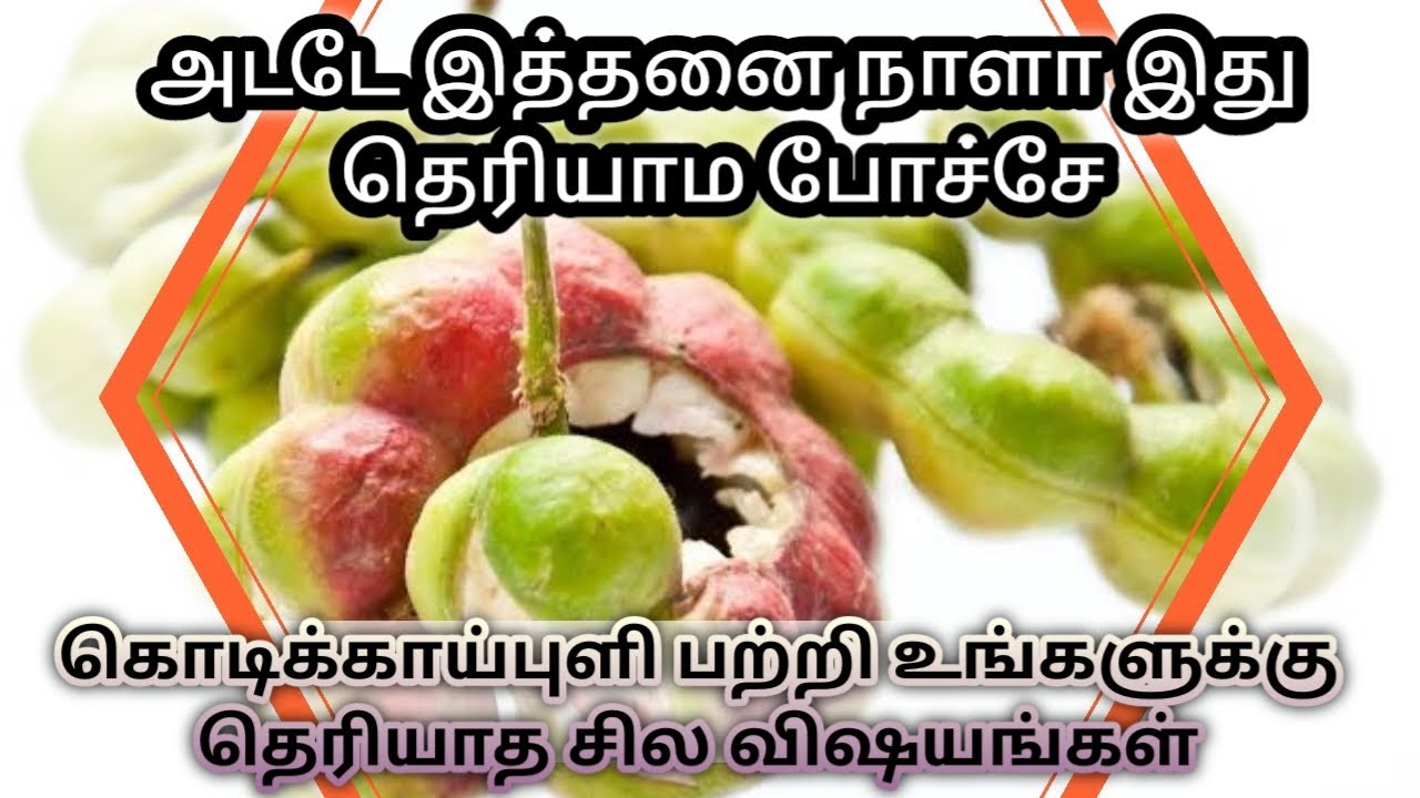 கொடுக்காபுளி மருத்துவ பயன்கள் | Kodukapuli health benefits in tamil ...