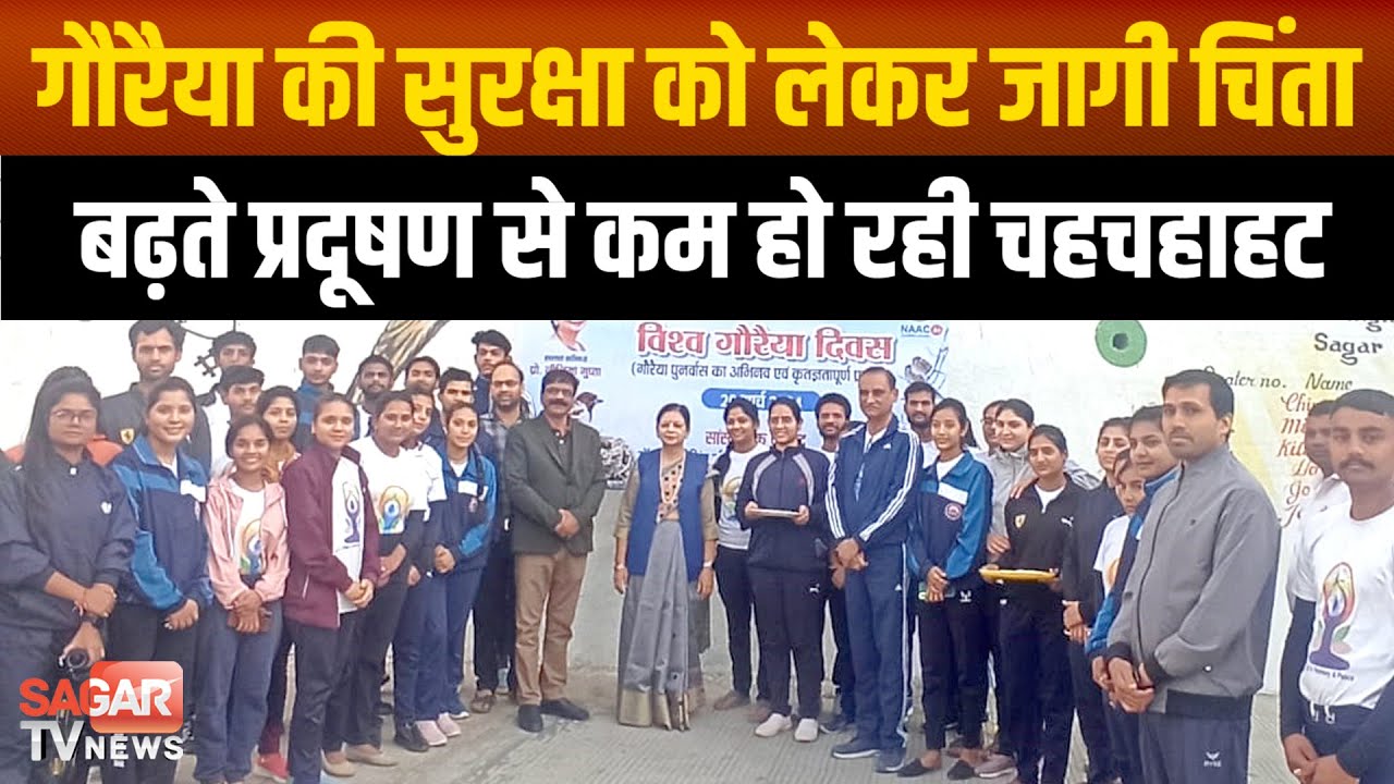 Sagar-utd में गौर गौरैया आवासीय कॉलोनी में खिलाया दाना, चिड़िया लेकर ...