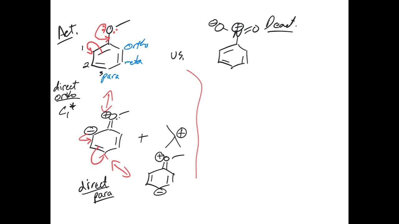 Electrophilic Aromatic Substitution: Mechanism Activators (EDG) and Deactivators (EWG) - YouTube