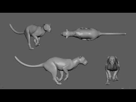 Leopard Run Cycle - MAYA 2023 - YouTube