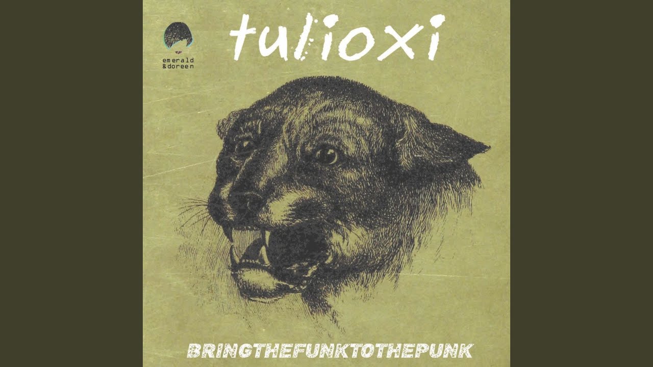 Bring the Funk to the Punk (Cannibal Ink Remix) - YouTube Music