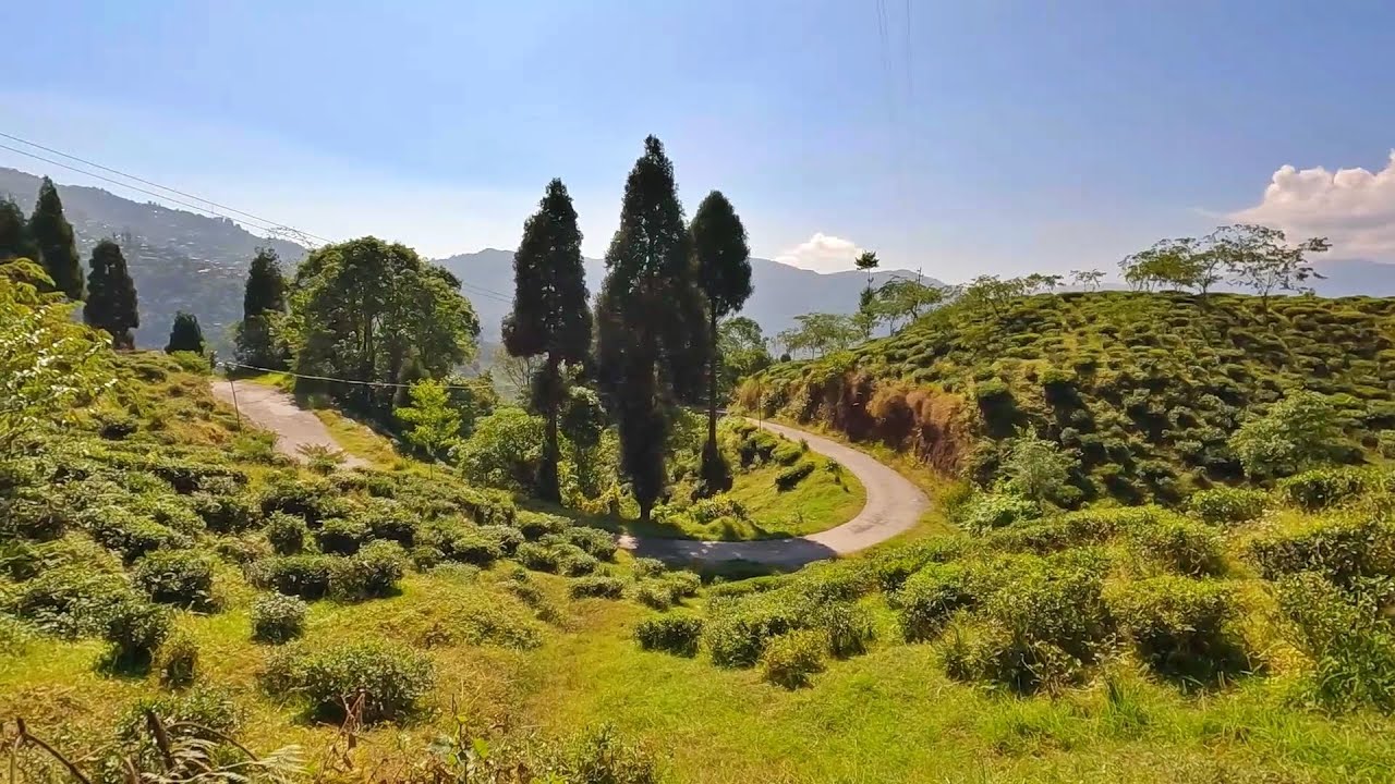 Happy Valley Tea Estate and Happy Valley Village - YouTube