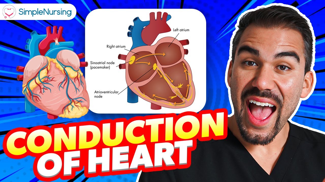 Conduction of the Heart: Cardiac Knowledge for Nursing Students - YouTube