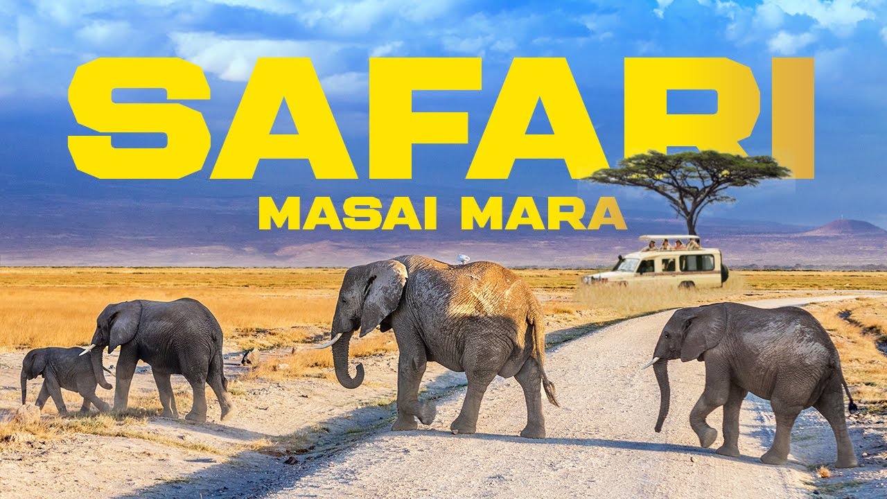 Safari sa najvećim afričkim životinjama - YouTube