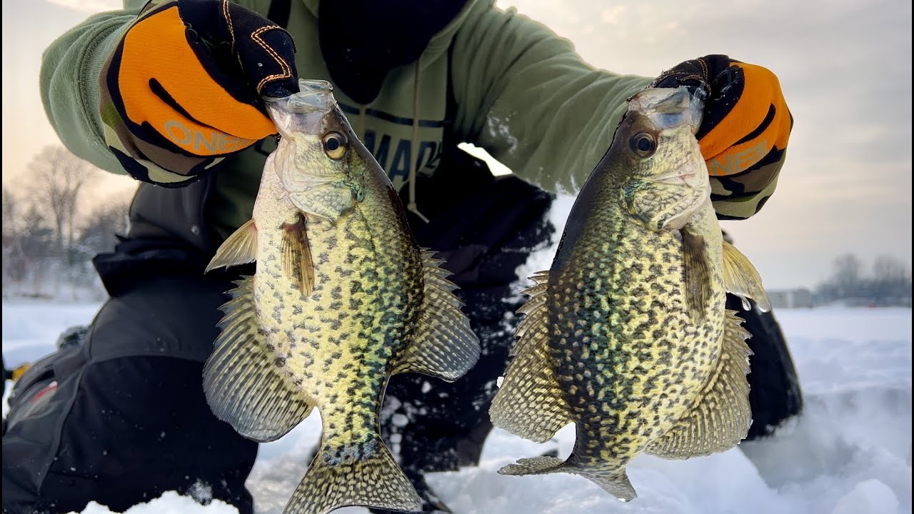 Crappie Day On Horseshoe Chain Of Lakes - Where The Catfish At??? - YouTube