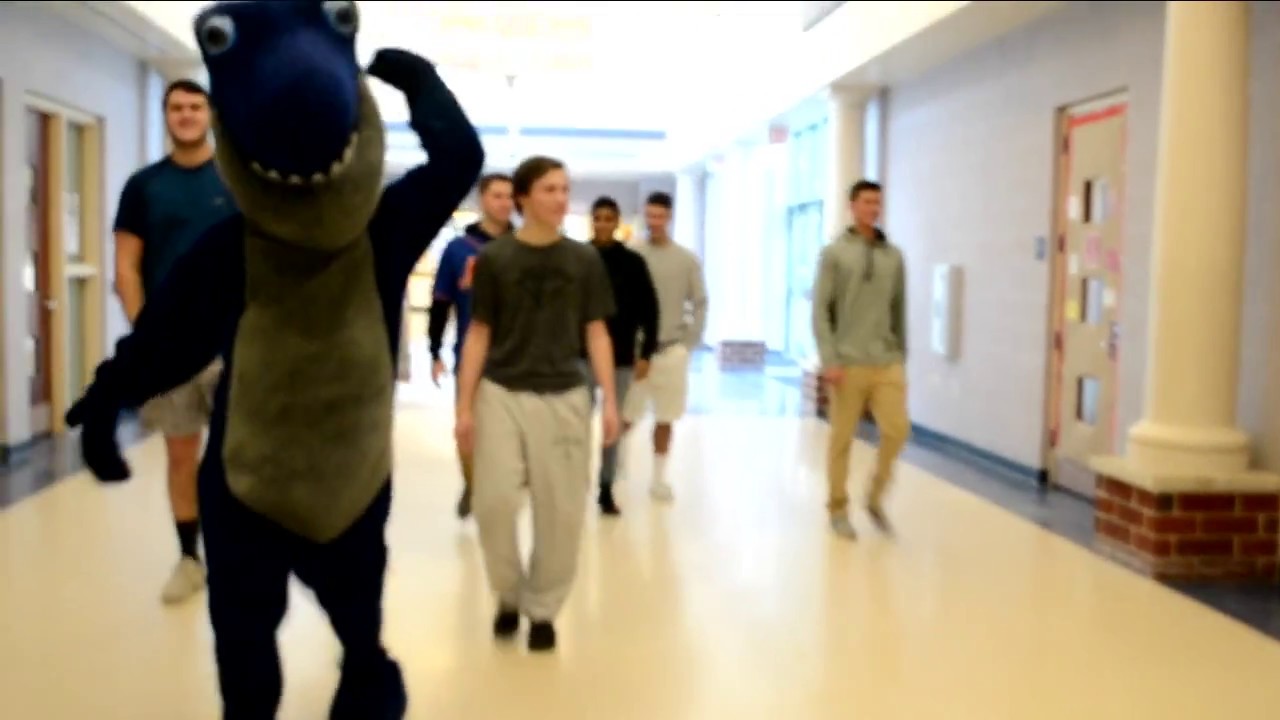 ESM: Shark Net News - 4/16/18 - YouTube