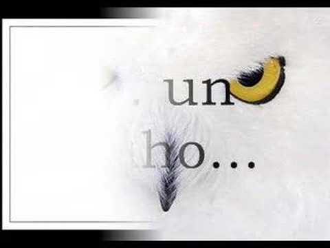 SIGNIFICADO DEL ESCUDO DE LA ENTS / UNAM - YouTube